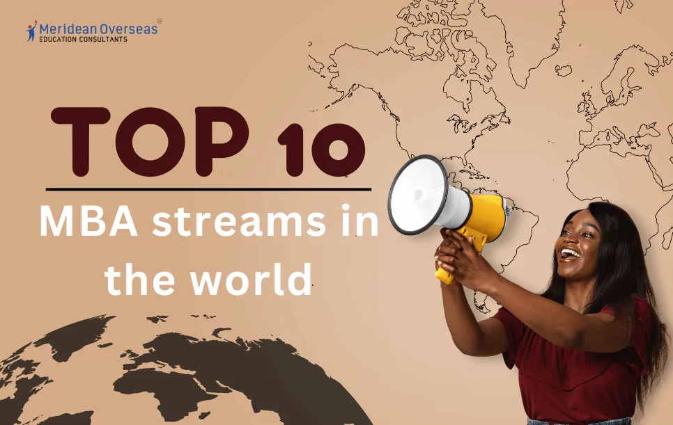 Top 10 MBA Streams in the World 2024 | MOEC