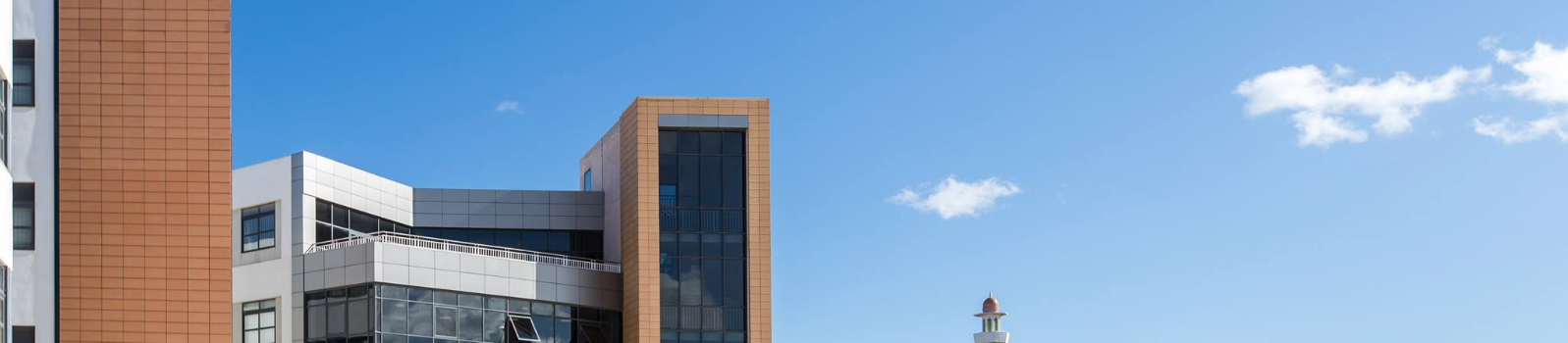 Malta College of Art and Science : Admissions, Courses & Fees Details